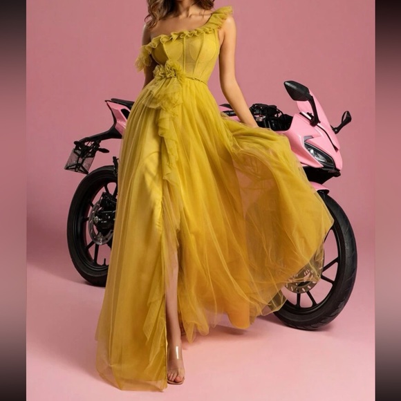 Posh Chronicles | Dresses | New Evening Gown In Romantic Mesh Fabric ...